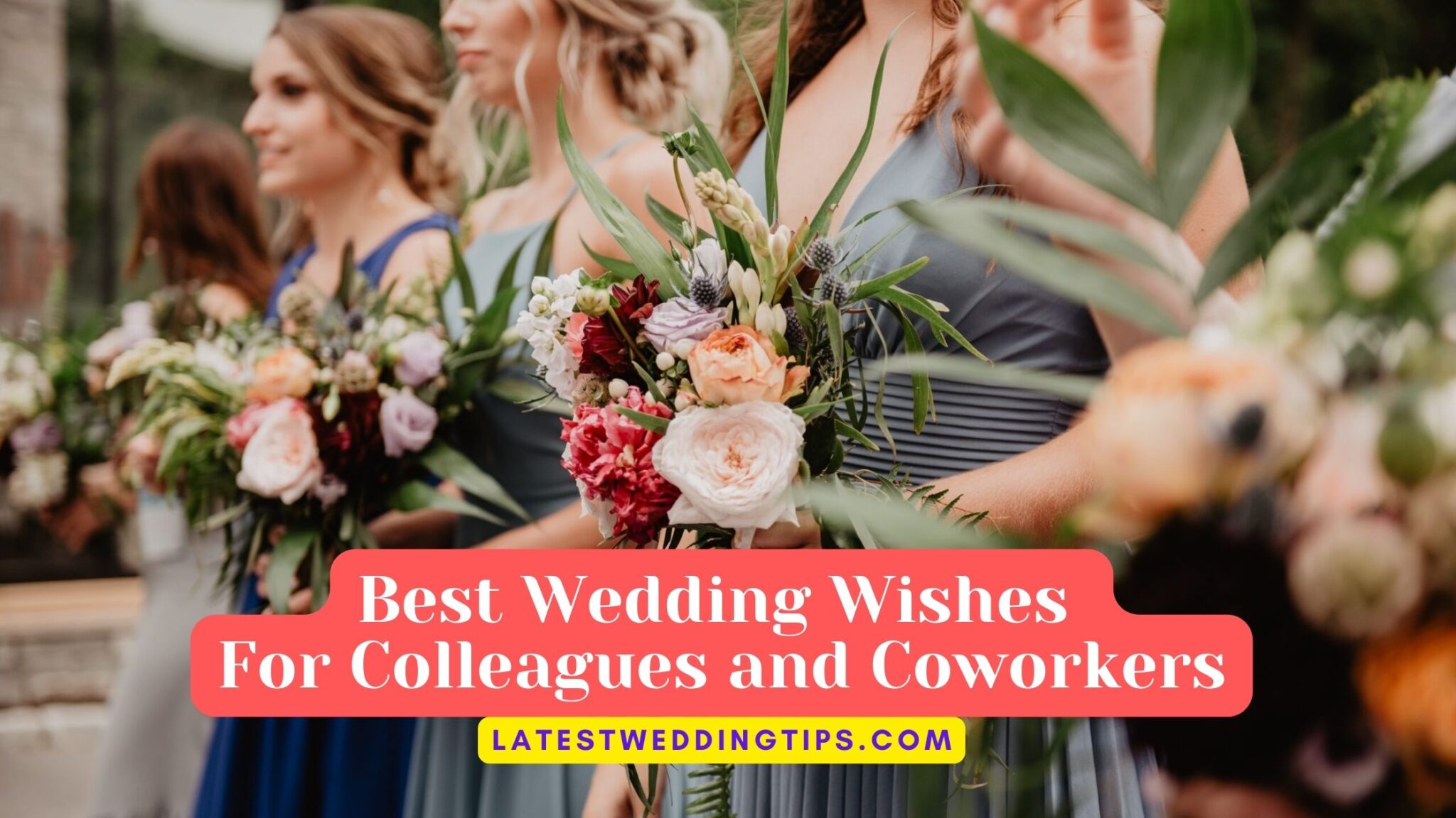 Best Wedding Wishes for Colleagues and Coworkers | Latest Wedding Tips